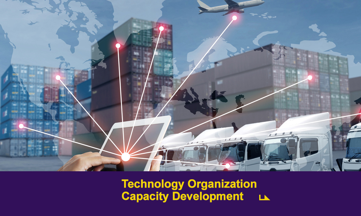 Technology Organization Capacity Development - Sysazzle